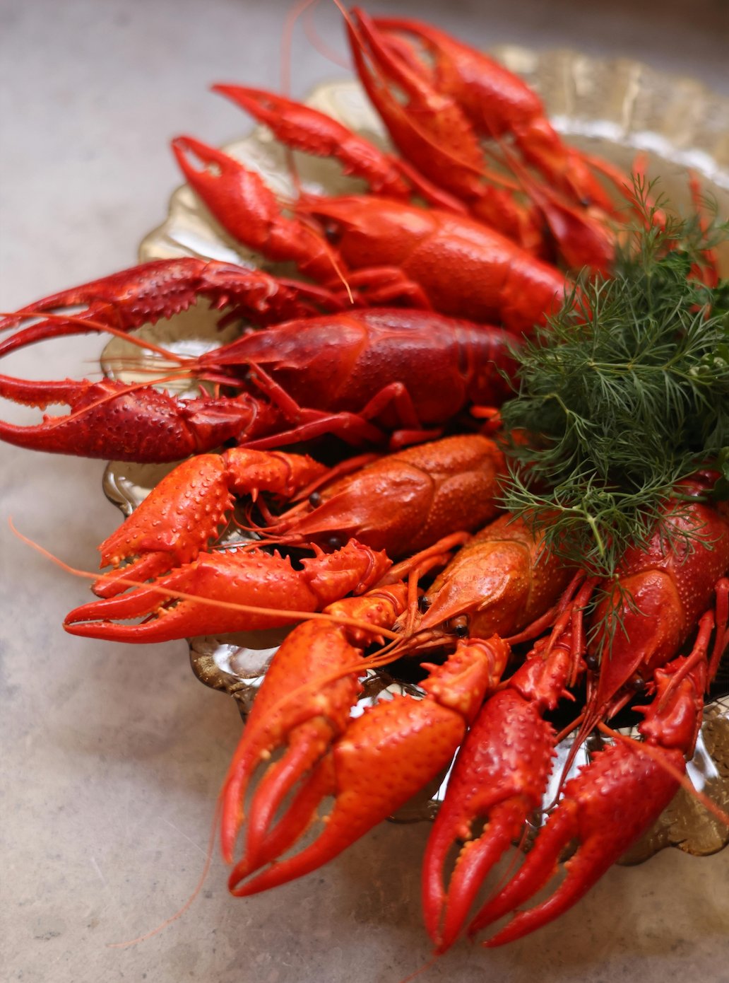 Crayfish Season – Swedishness